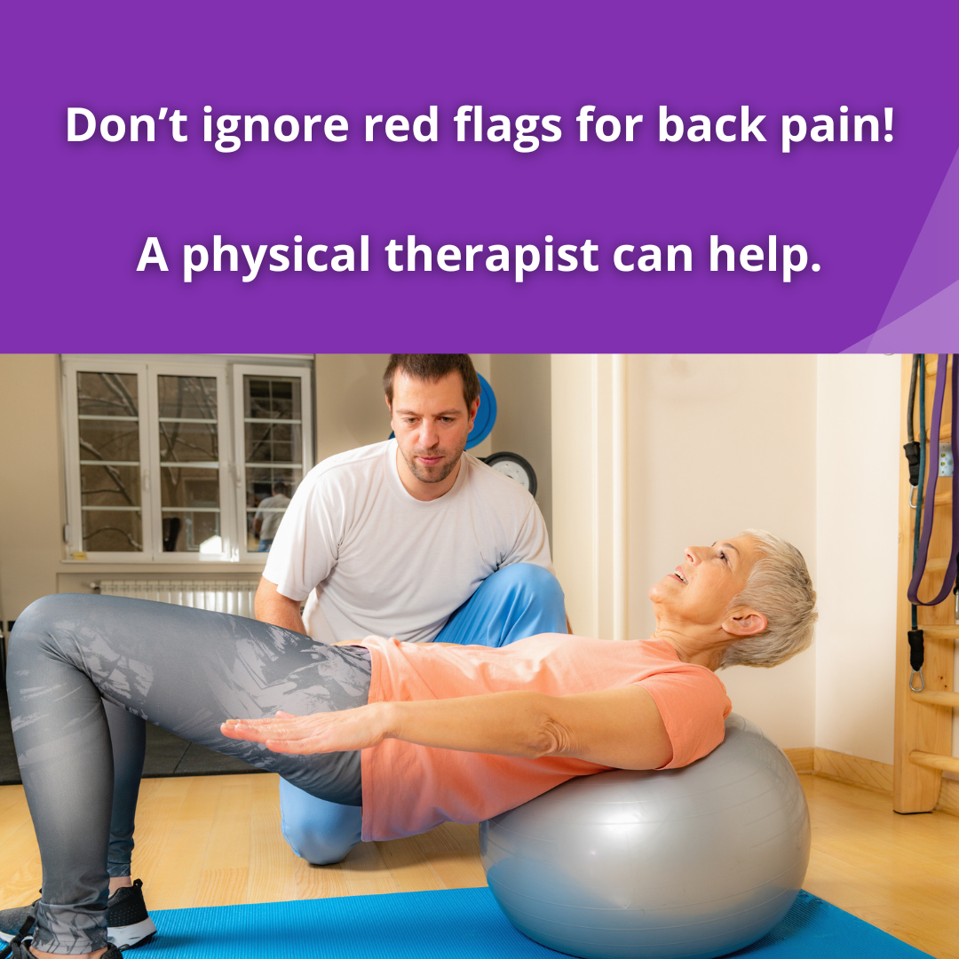 Summer-Proof Your Back: Easy Core Exercises for Pain-Free Travel and ...